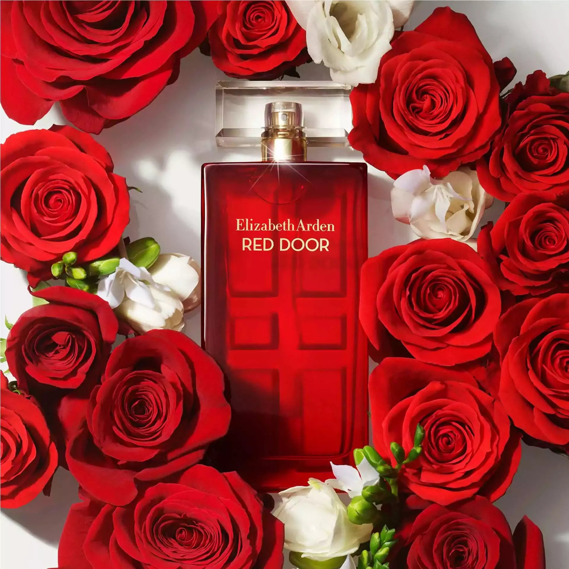 Red Door Perfume, a Signature Fragrance | Elizabeth Arden